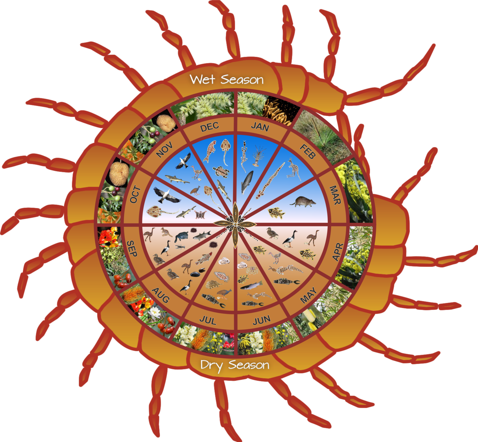 Aboriginal Fire Management : Binthi Land Holding Group