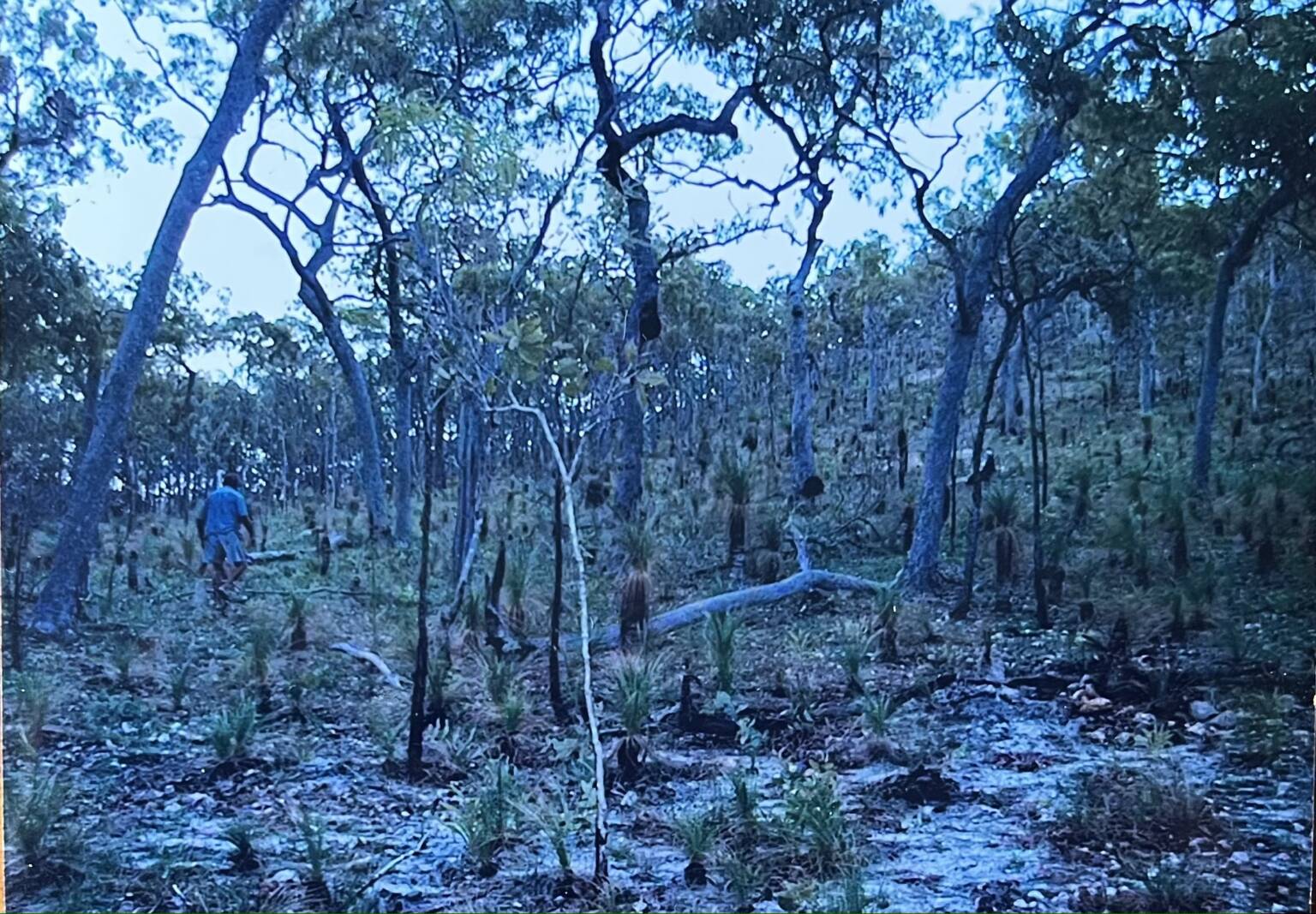 Aboriginal Sustainability Practices : Binthi Land Holding Group