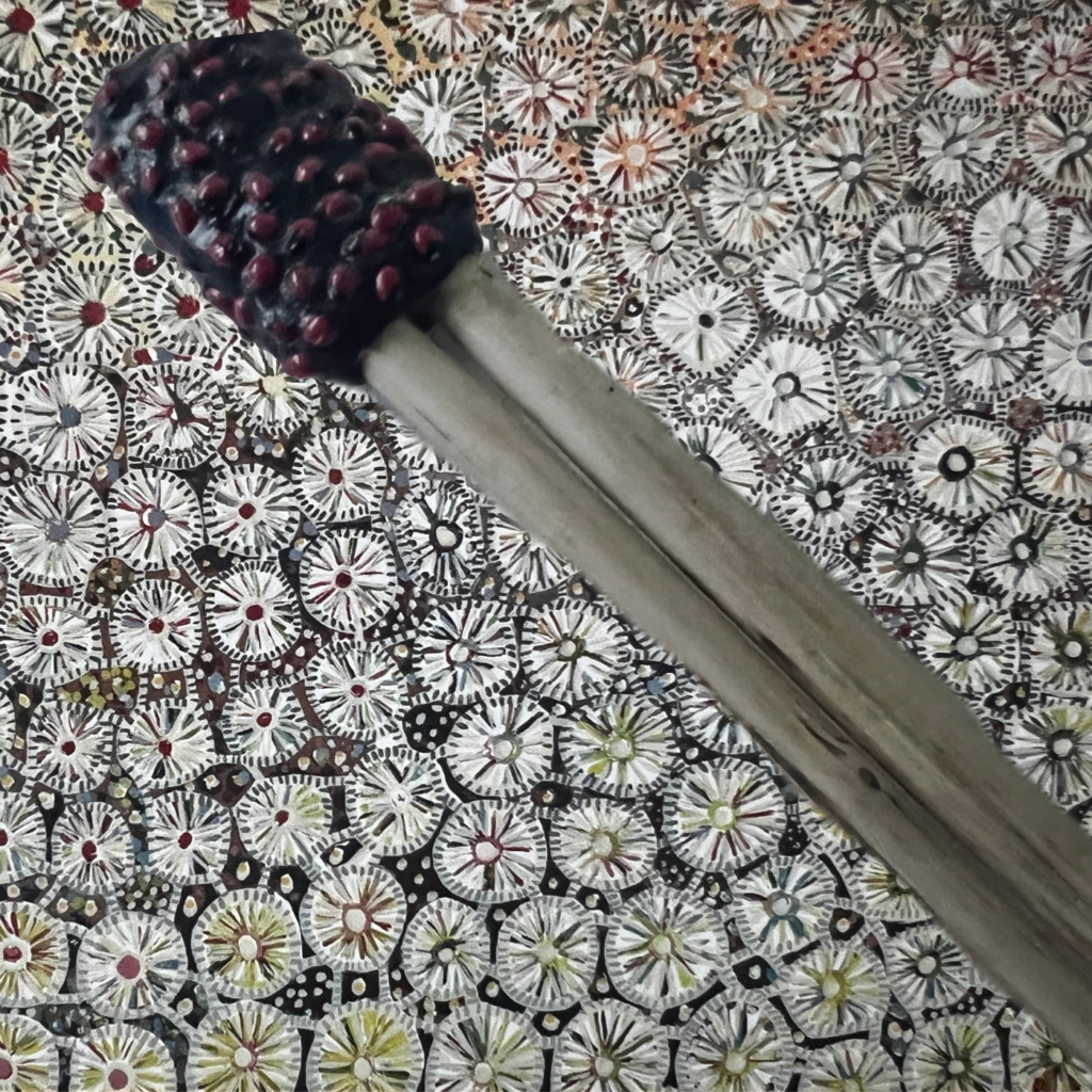 Aboriginal Fire Management : Binthi Land Holding Group