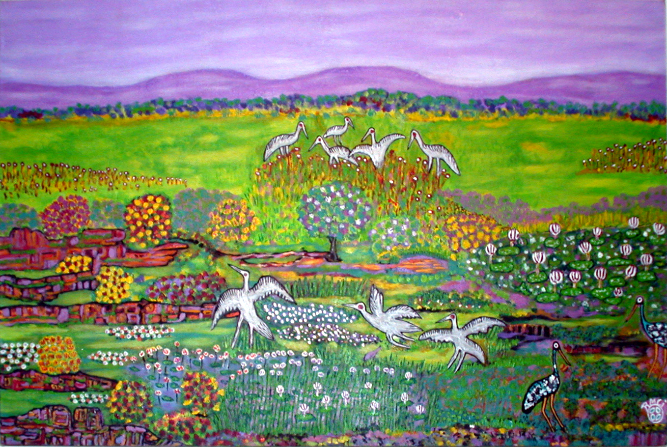 Aboriginal Land Management Practices : Binthi Land Holding Group