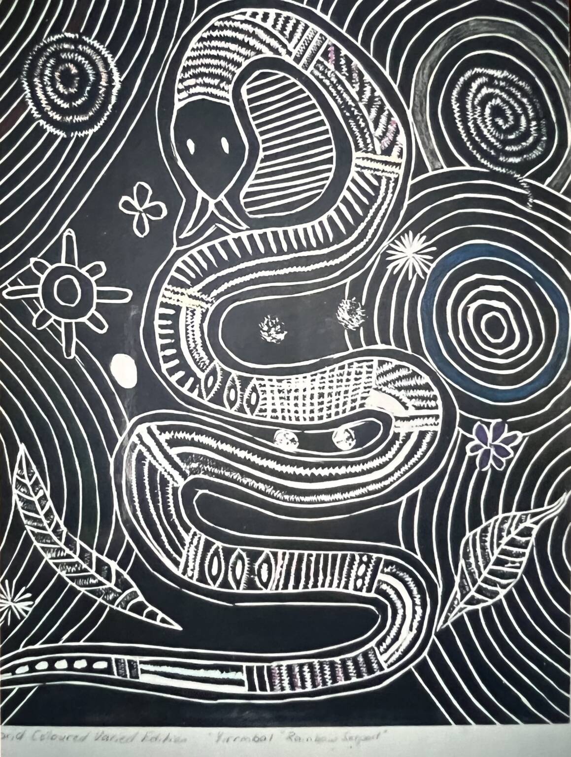 Aboriginal Land Management Practices : Binthi Land Holding Group