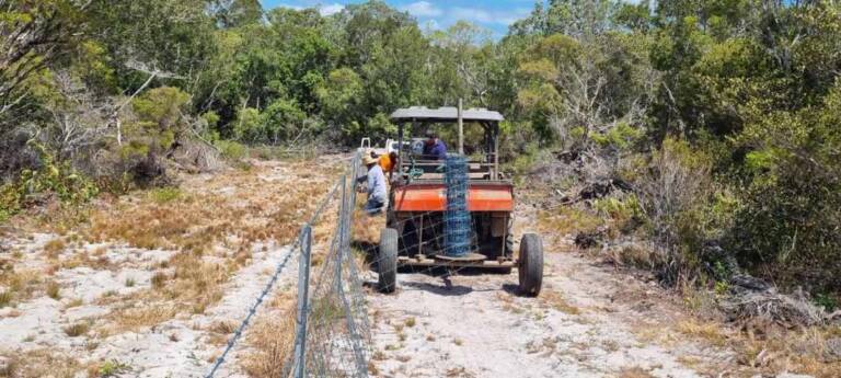 Fencing Project Keeps Lagoon Safe : Binthi Land Holding Group